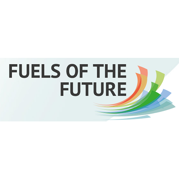 17th International Conference on Renewable Mobility - REDIFUEL